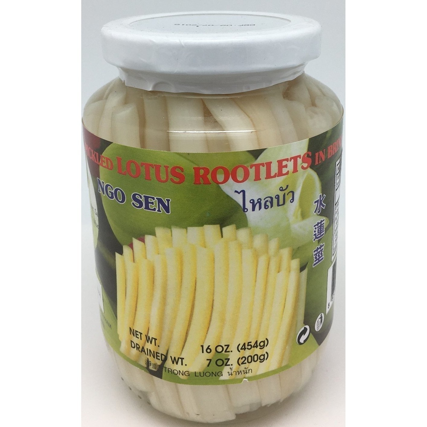 P039 Lotus Brand - Pickled Lotus Rootlets in Brine 454g - 24 jar / 1 C ...